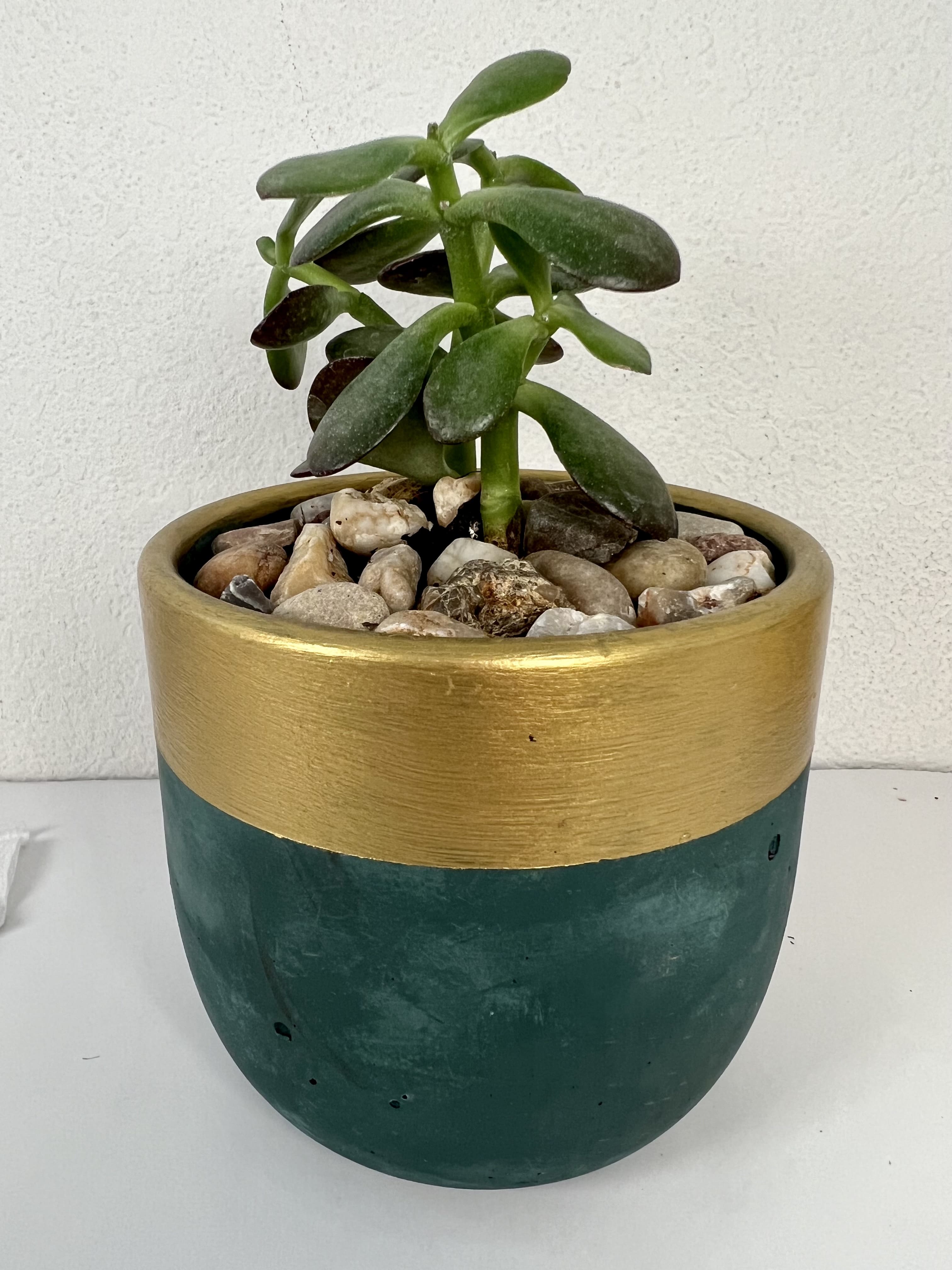 Emerald Green & Gold Band – KF Cement Works